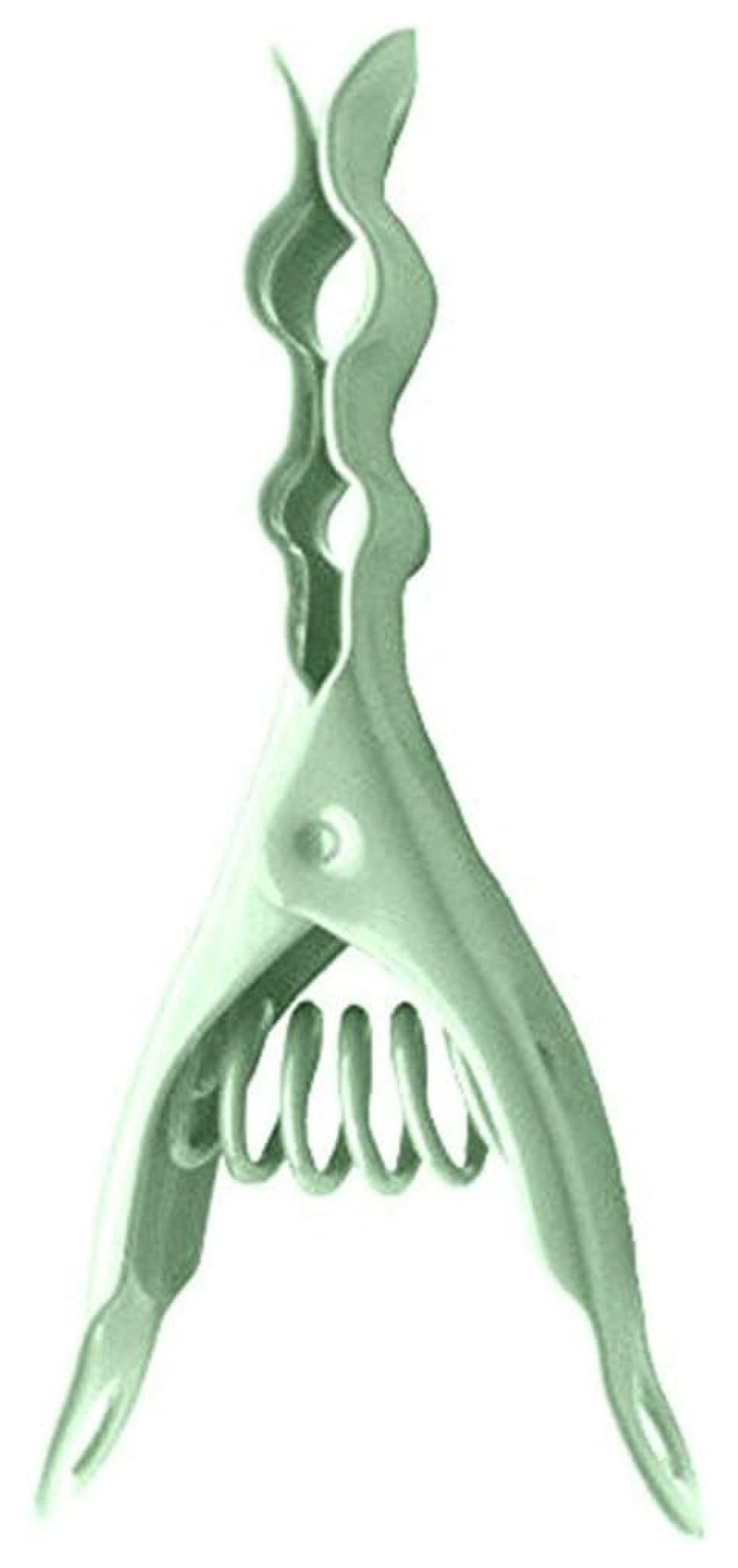 Extreme Clothespins | Sea Foam Green | Solid 304 Stainless Steel | 20 ...