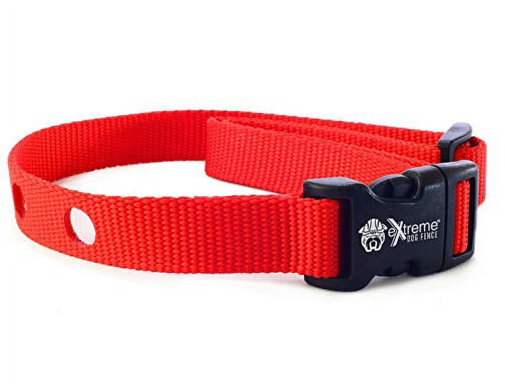 Extreme Dog Fence Heavy-Duty Nylon Replacement Dog Collar Strap ...
