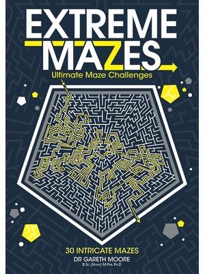 Extreme Mazes - Walmart.com