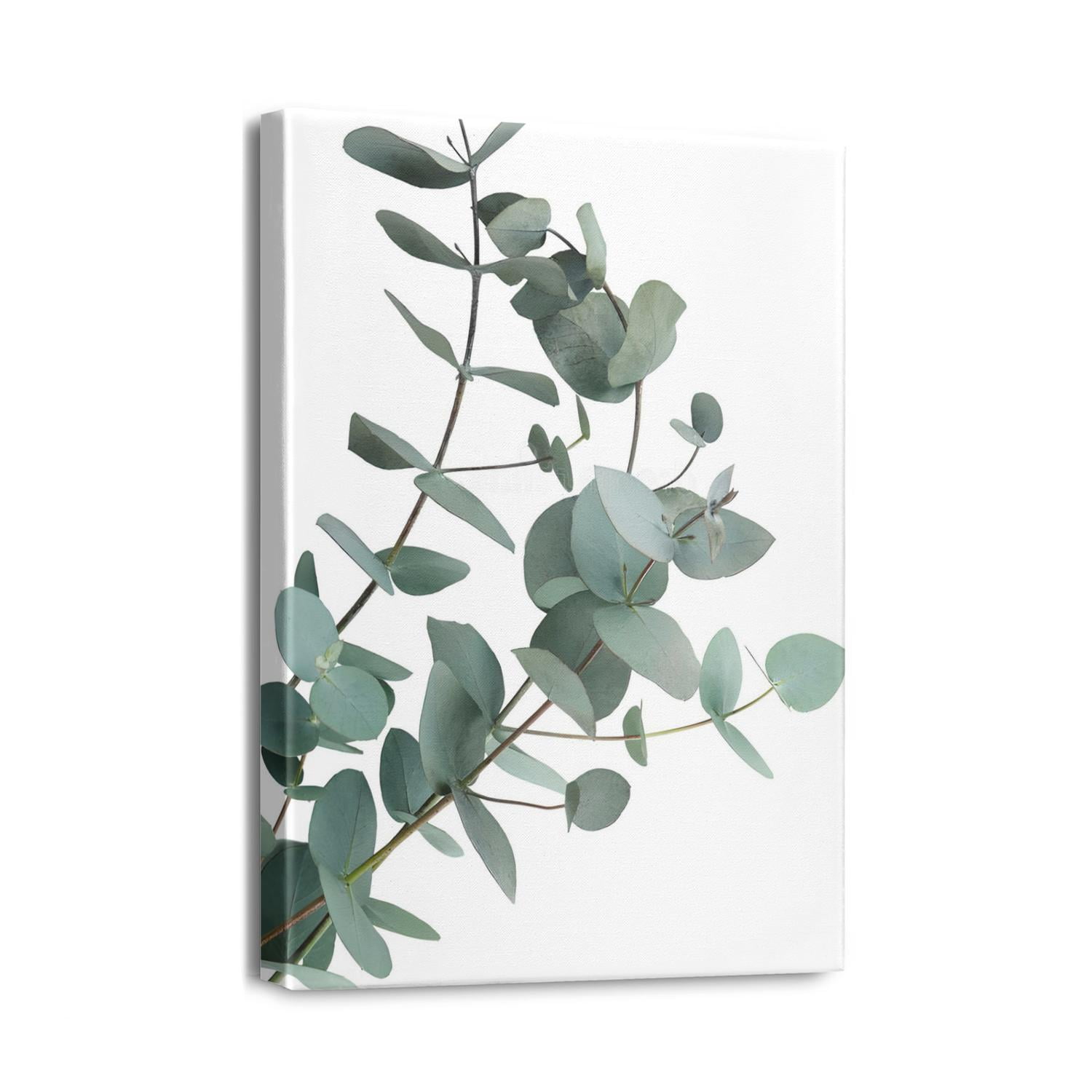 Eye-Catching Eucalyptus Decor12x16 Botanical Prints and Plant Wall Art - Walmart.com