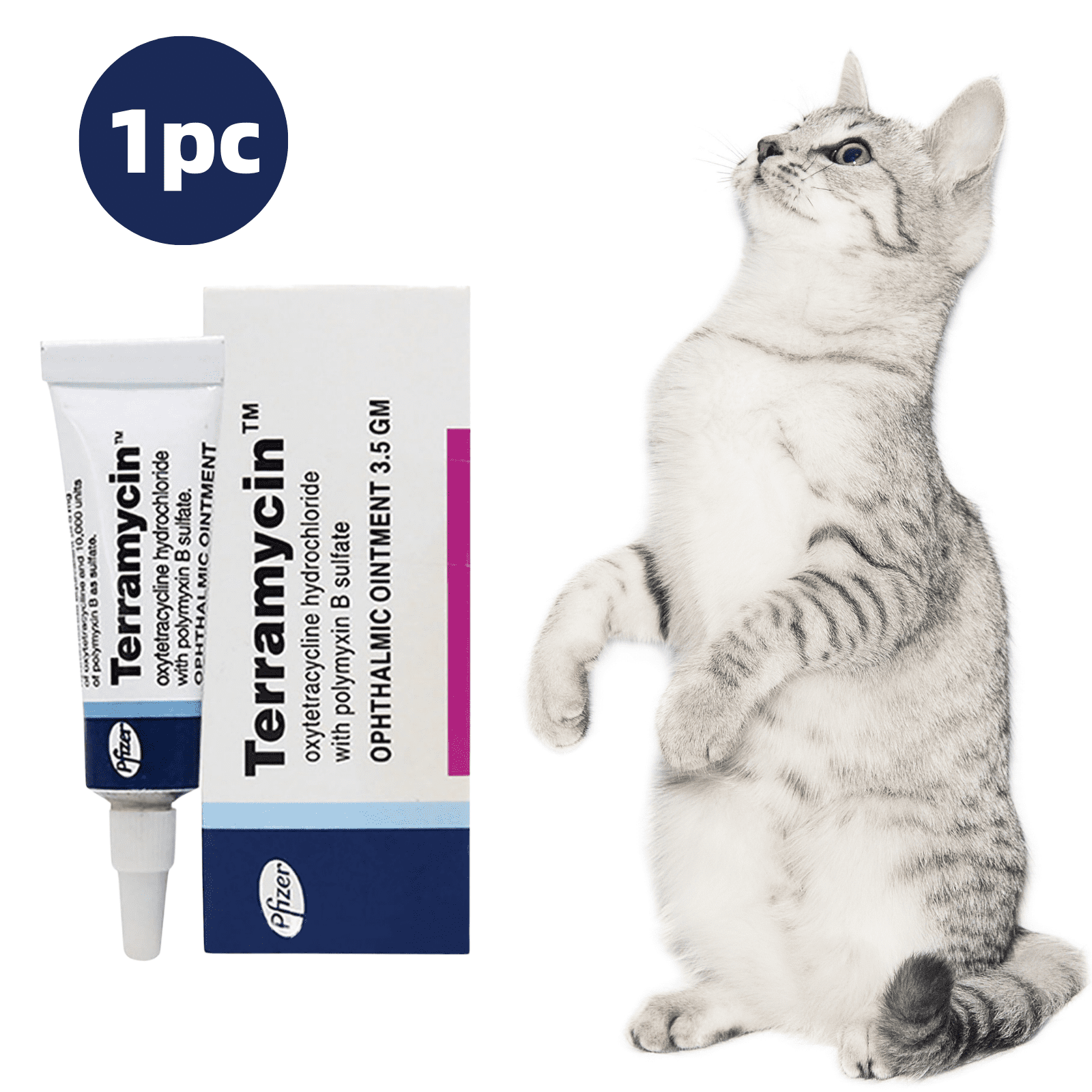Eye Ointment for Kittens and Puppies - Supports Active Lifestyles by ...