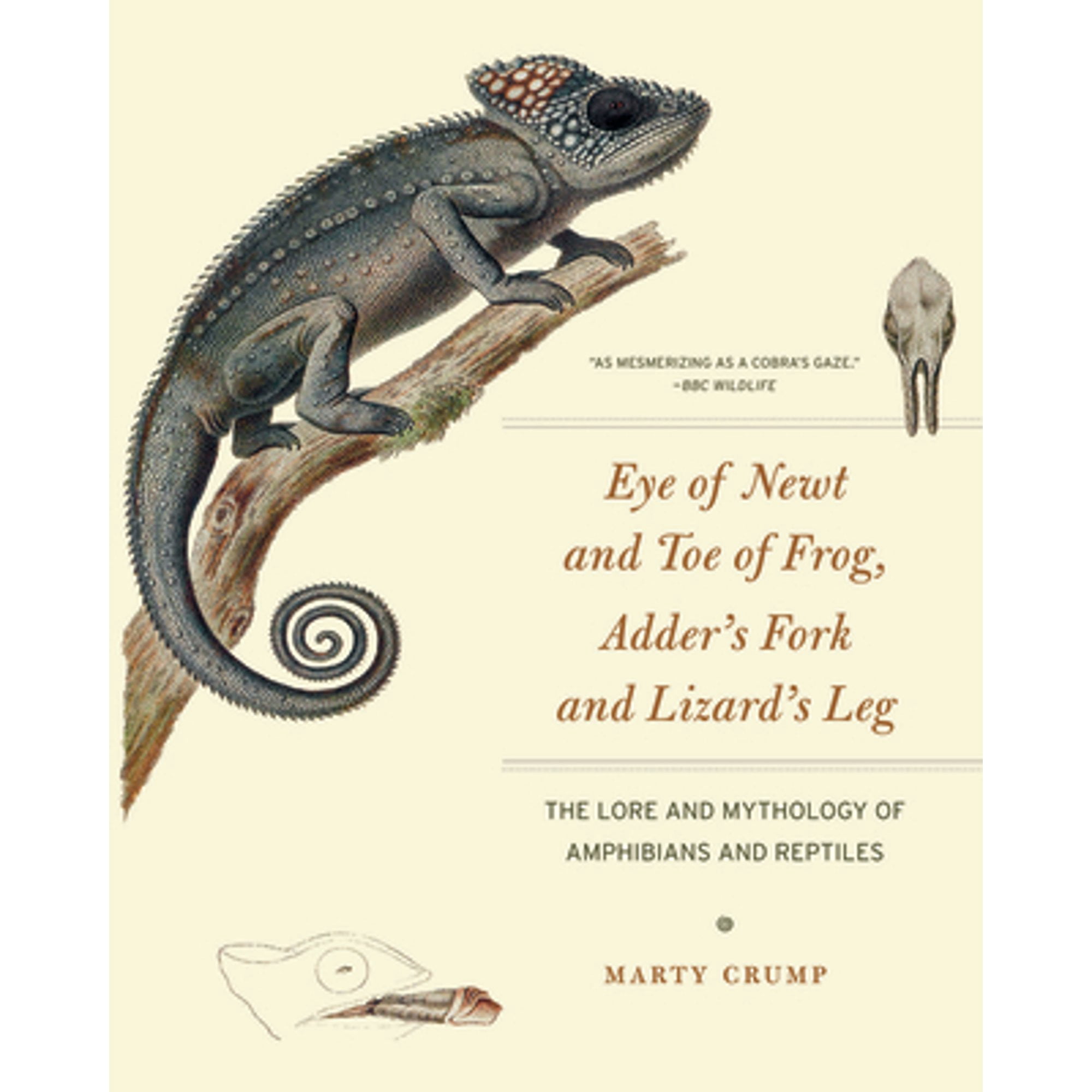 Pre-Owned Eye of Newt and Toe of Frog, Adder's Fork and Lizard's Leg ...