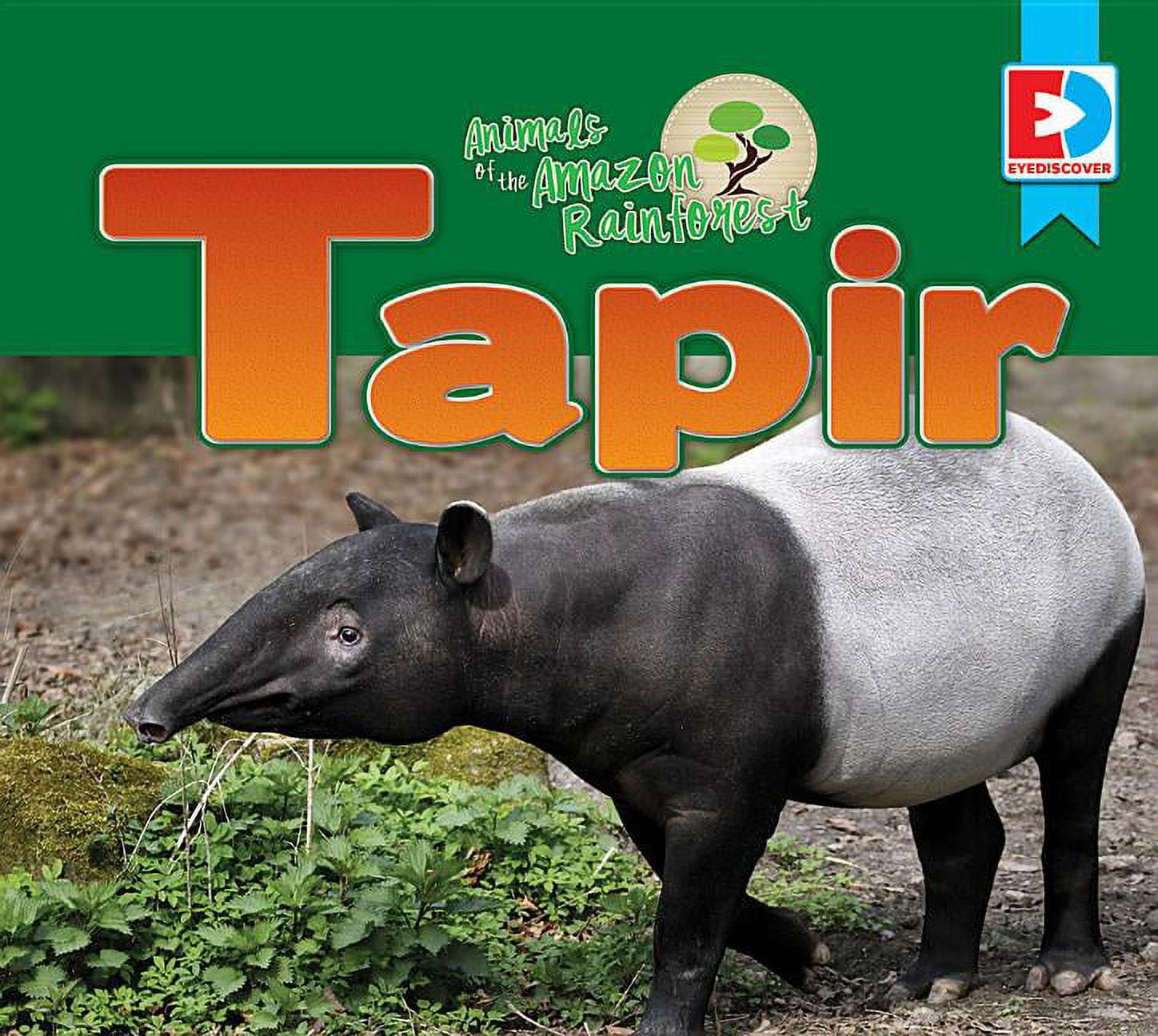 Rainforest Tapir