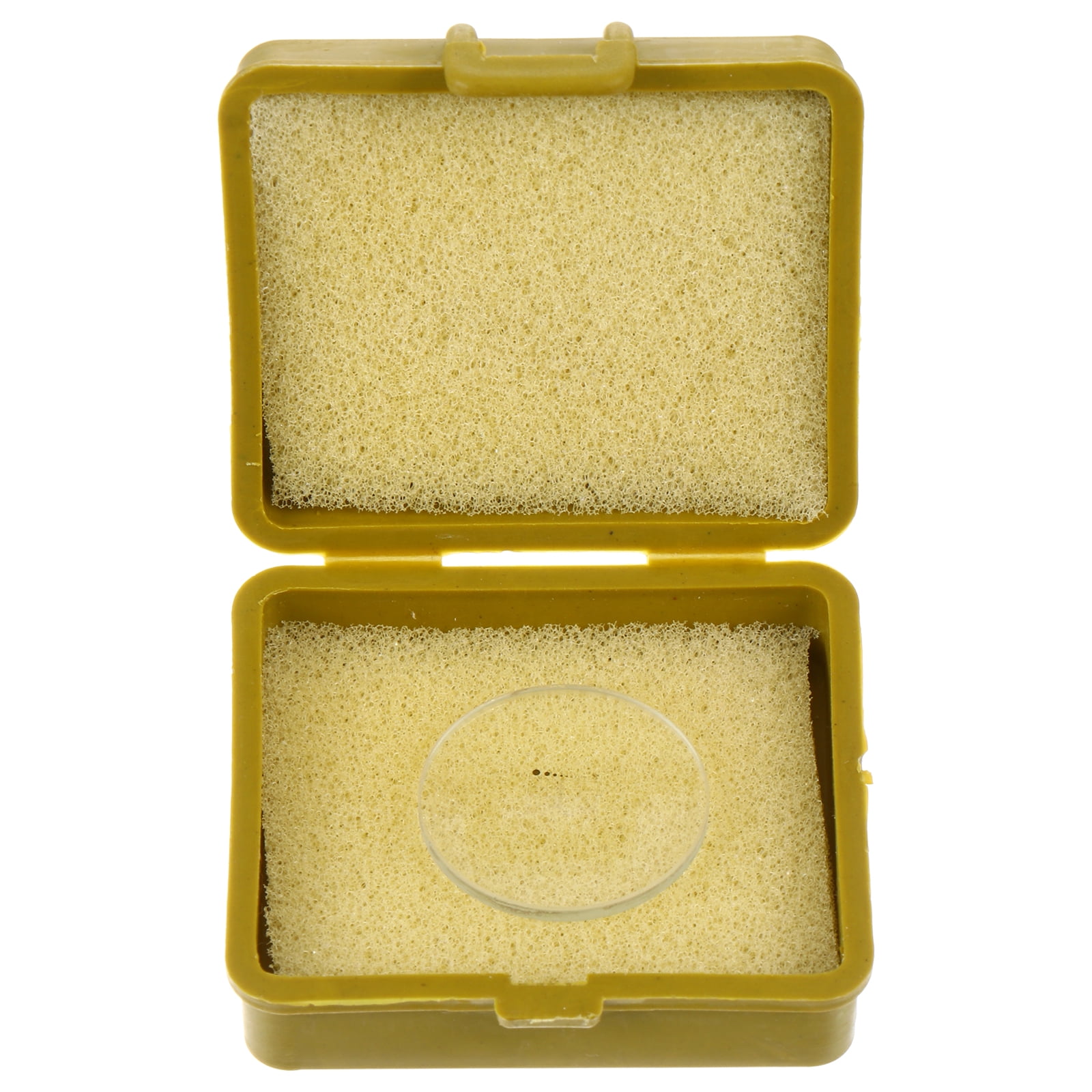 Eyepiece Micrometer Microscope Objective Lens Slide Area Measuring ...