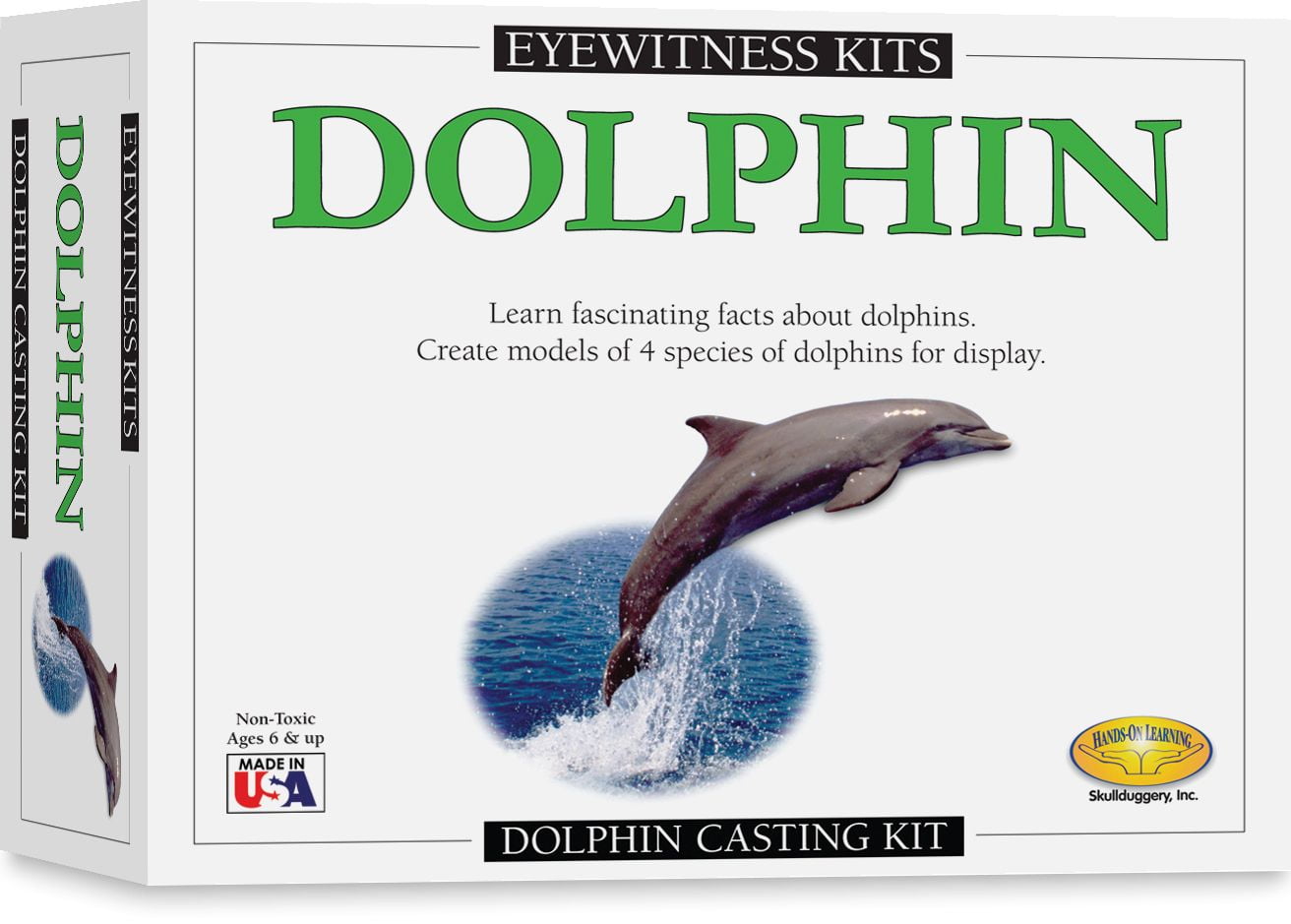 Eyewitness Kits Perfect Cast Dolphin Cast, Paint, Display and Learn ...