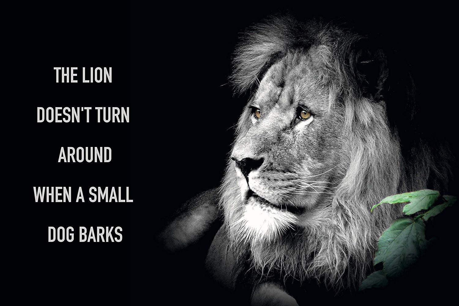 Ez Poster Prints Motivational Lion Quotes 48” x 32” Poster - Walmart.com