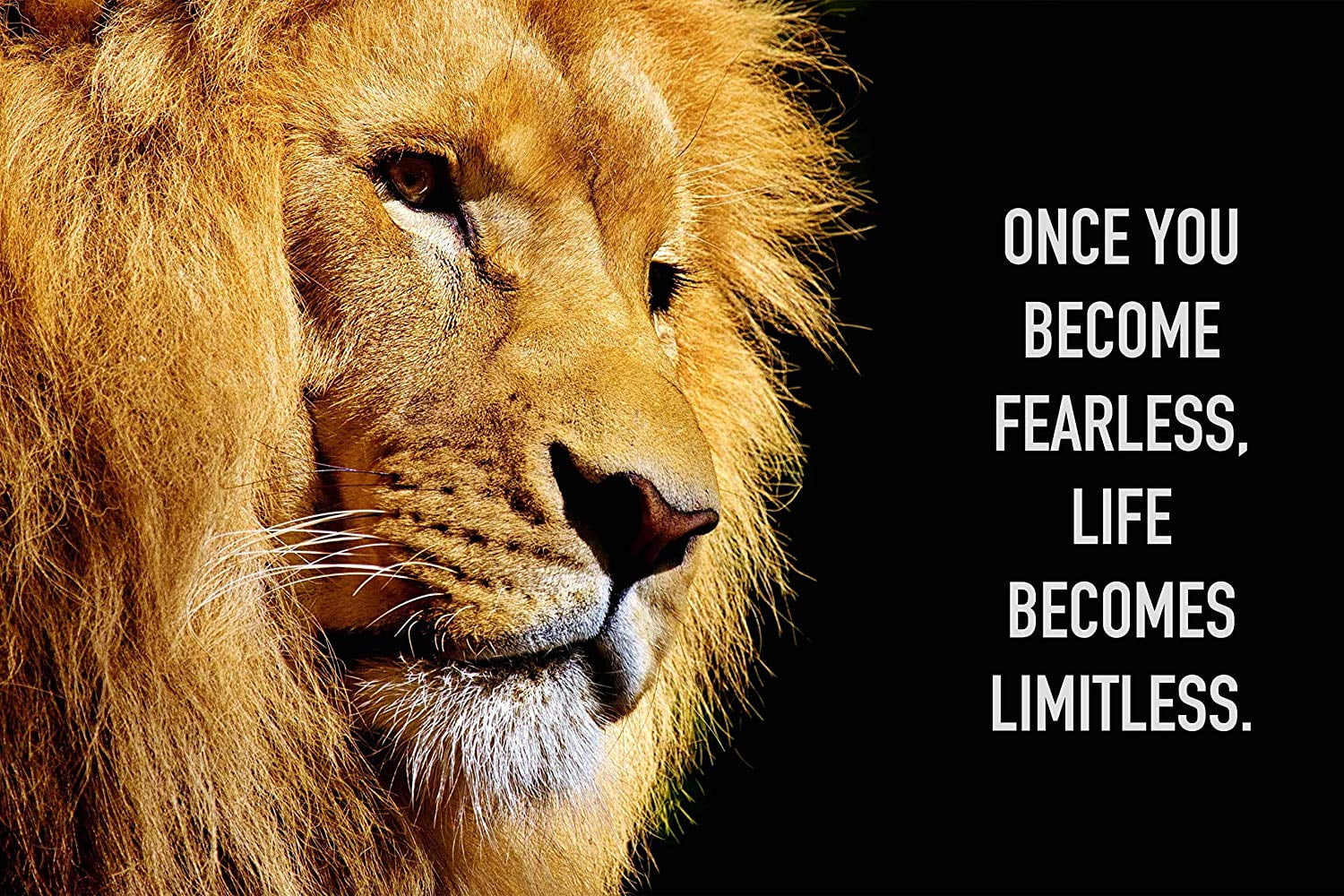 EzPosterPrints - Most Popular Lion Theme Quote Posters - Power Strength ...
