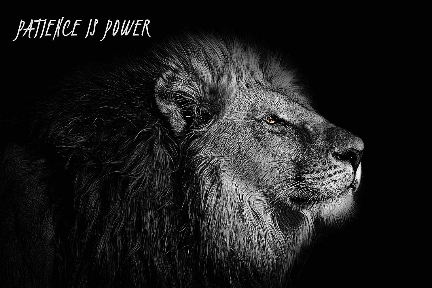 EzPosterPrints - Most Popular Lion Theme Quote Posters - Power Strength ...