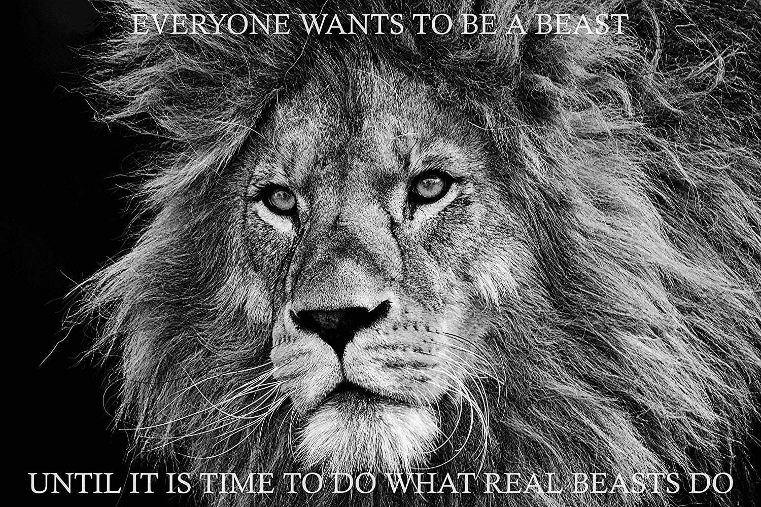 EzPosterPrints - Most Popular Lion Theme Quote Posters - Power Strength ...