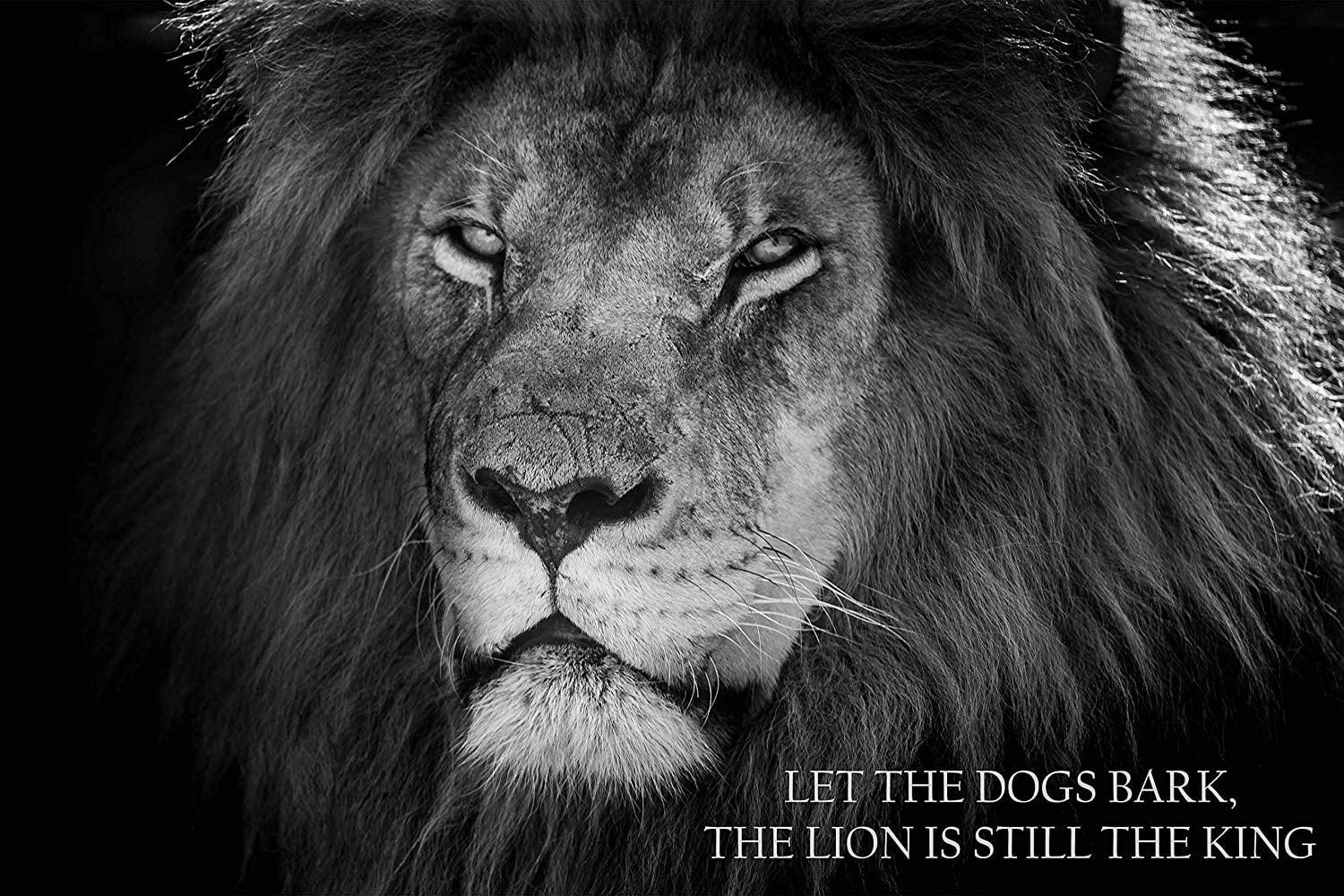 EzPosterPrints - Most Popular Lion Theme Quote Posters - Power Strength ...