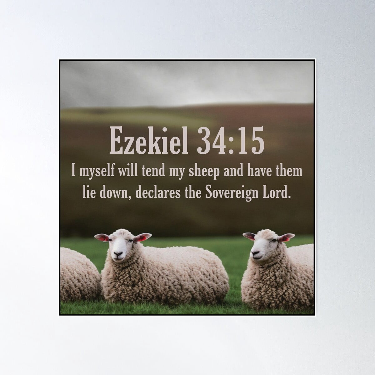 Ezekiel 34:15 Poster Wall Art, Modern Wall Decor For Living Room ...