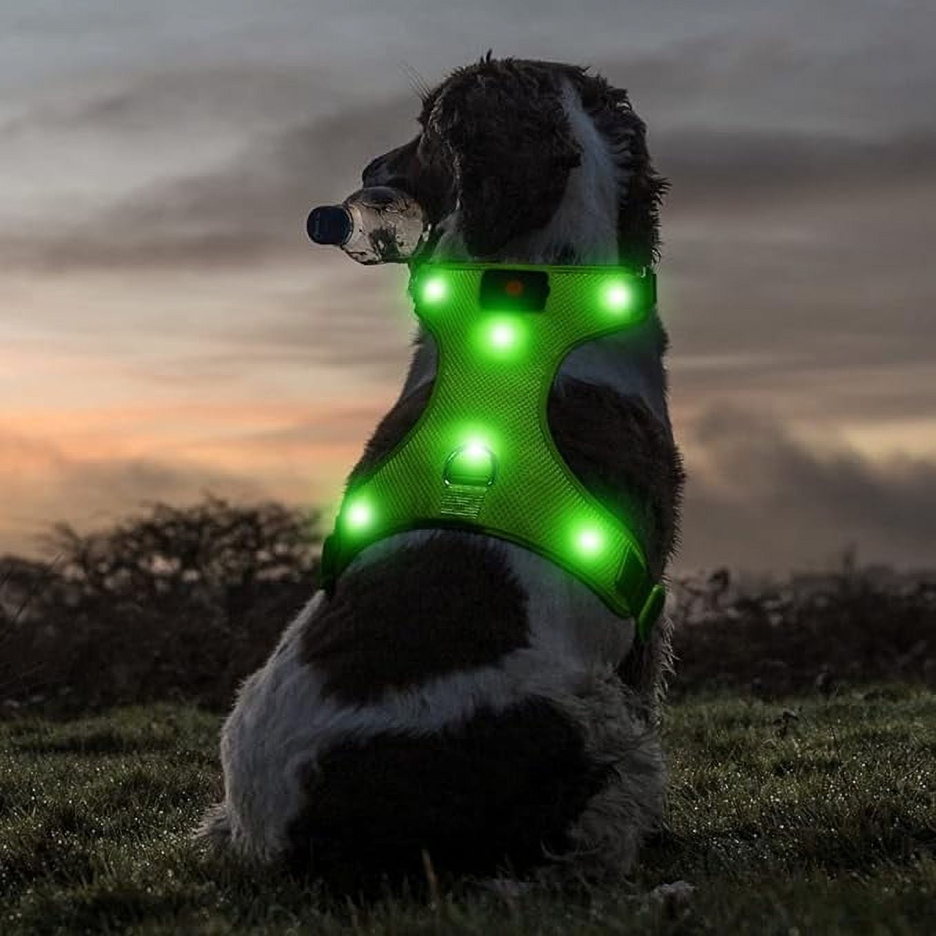 Ezier Glowing LED Dog Harness- USB Rechargeable No Pull Puppy Harness ...