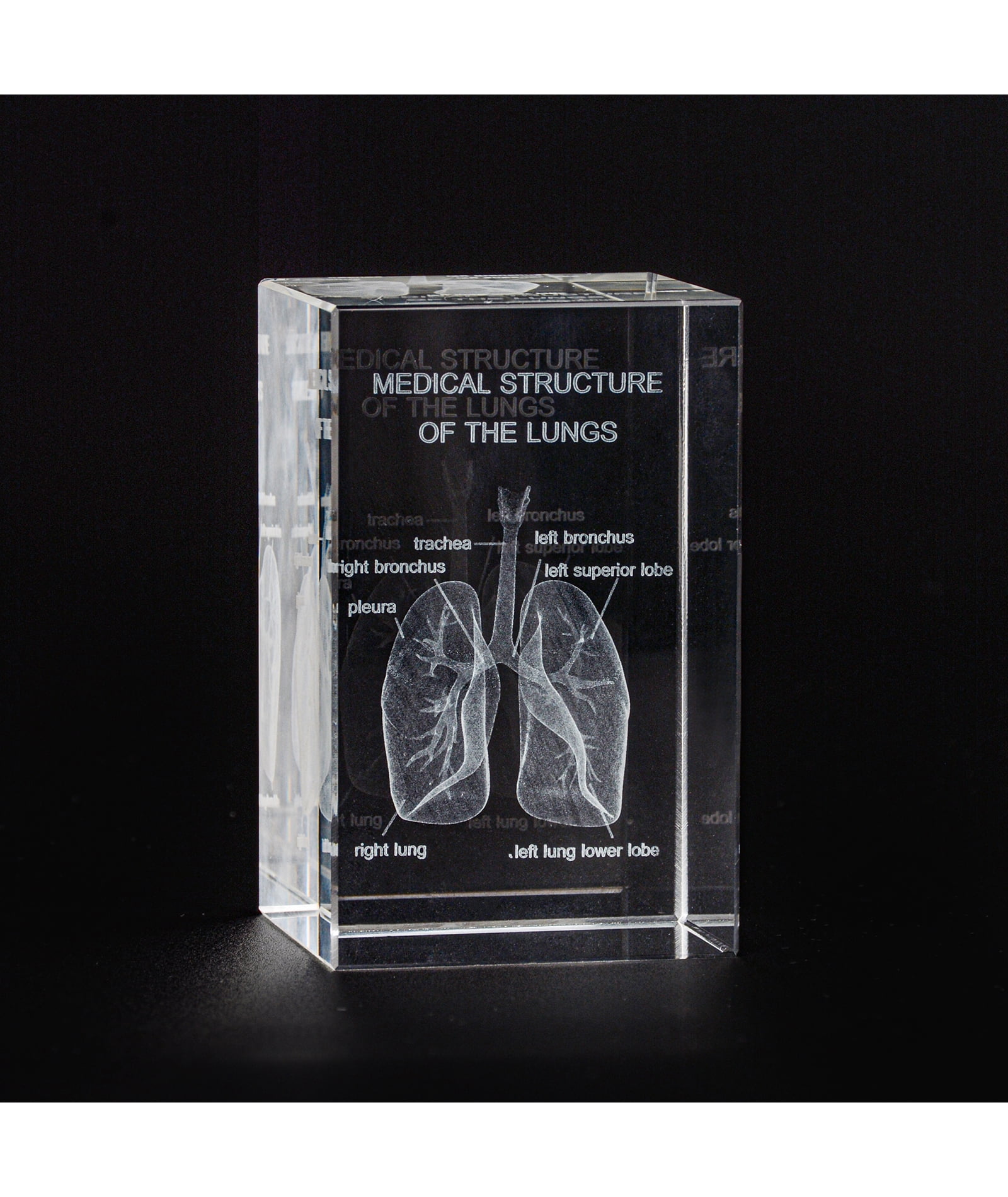 Eztrain 3D Human Lung Crystal Model, Laser Etched Anatomical Model for ...