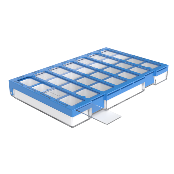 Ezy Dose Weekly (7-Day) Pharmadose Pill Organizer, Easy Fill Tray, 4 ...