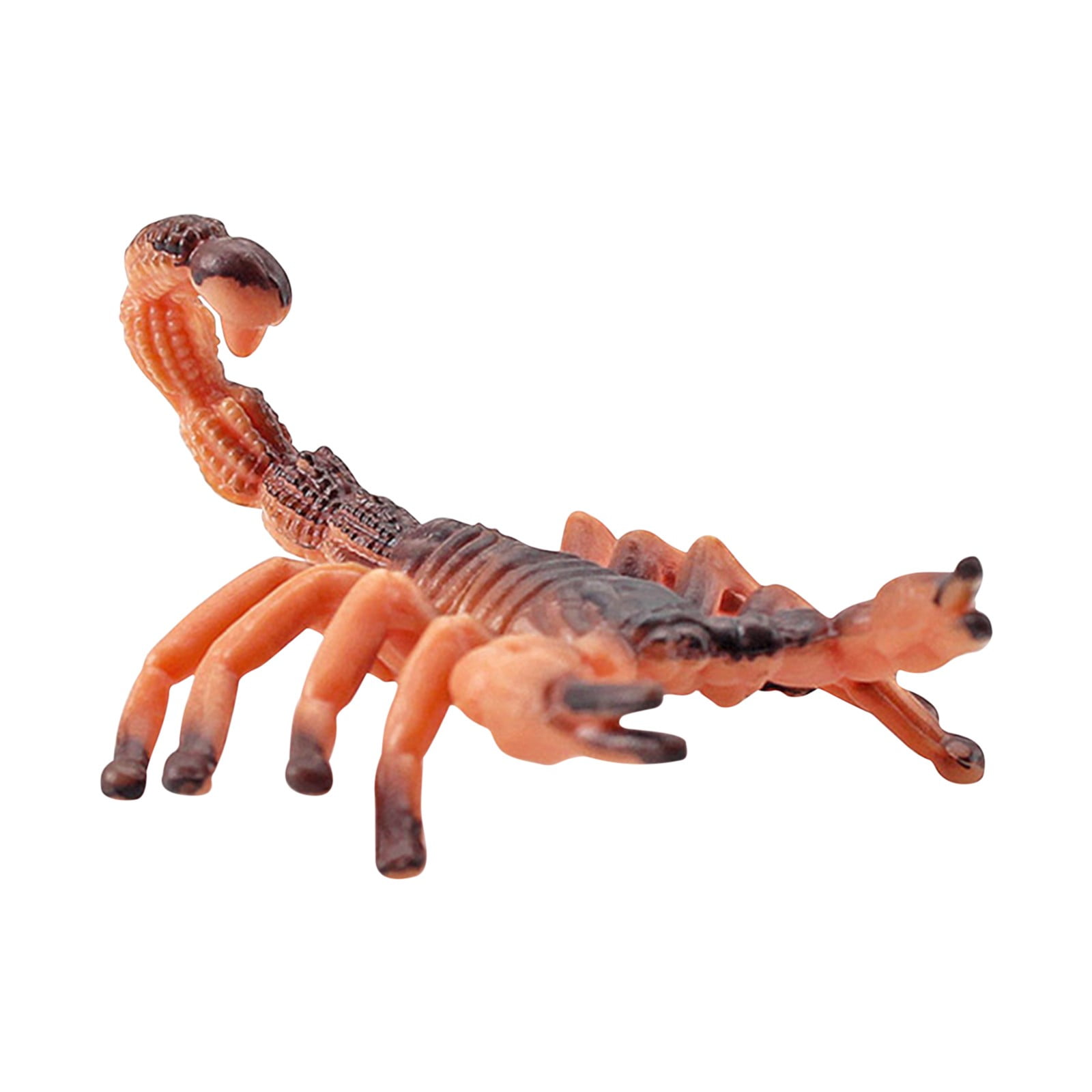 F Educational Science Toy Scorpion Insect Simulation Model For Children ...