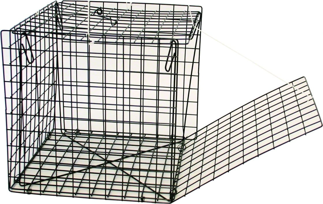 F.J. Neil 10 1/2" x 10 1/2" Square Box Trap - Walmart.com