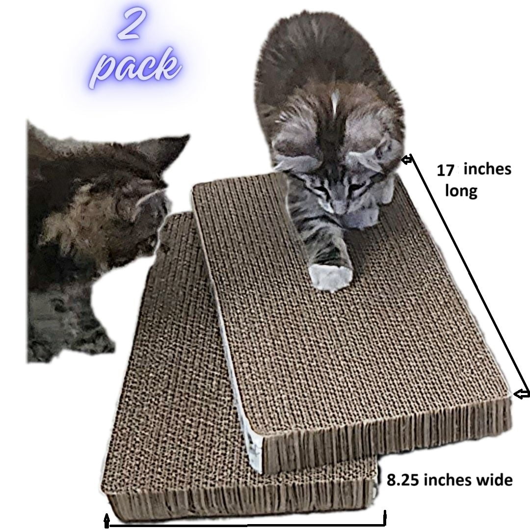 F & P Products 2 Count Cat and Kitten Scratching Pad, Double-Sided ...