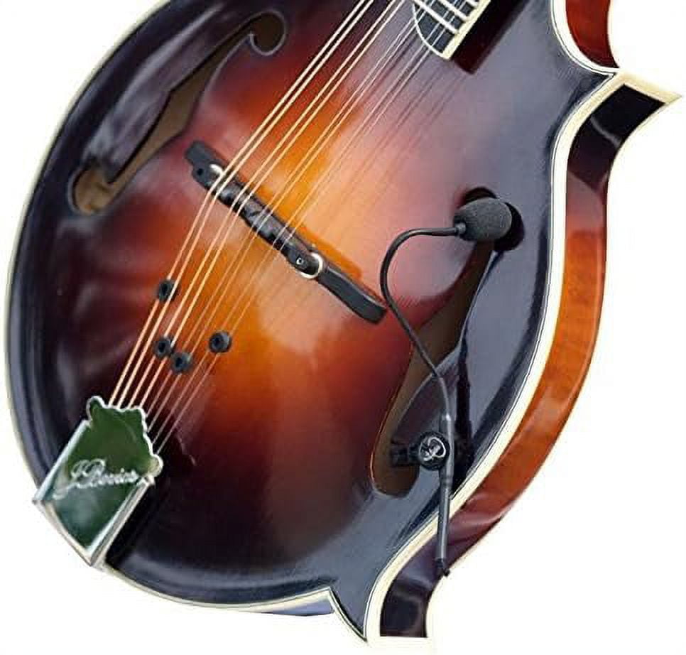 F-Style Mandolin Microphone with Flexible Micro-Gooseneck The Feather ...