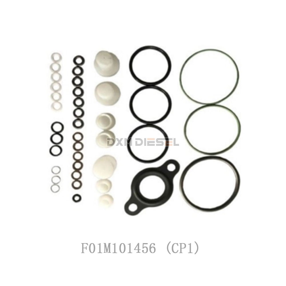 F01M101456-Common Rail Fuel Pump Repair Kit, CP1 Series, 5 Pieces ...