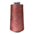 F154 Cotton Candy Signature Cotton Variegated Thread - Walmart.com