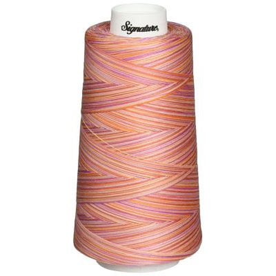 Signature Variegated Quilting Thread, 3000yds - Walmart.com