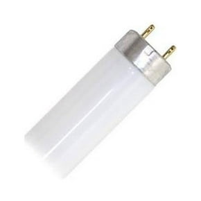 T8 Fluorescent Light Bulbs
