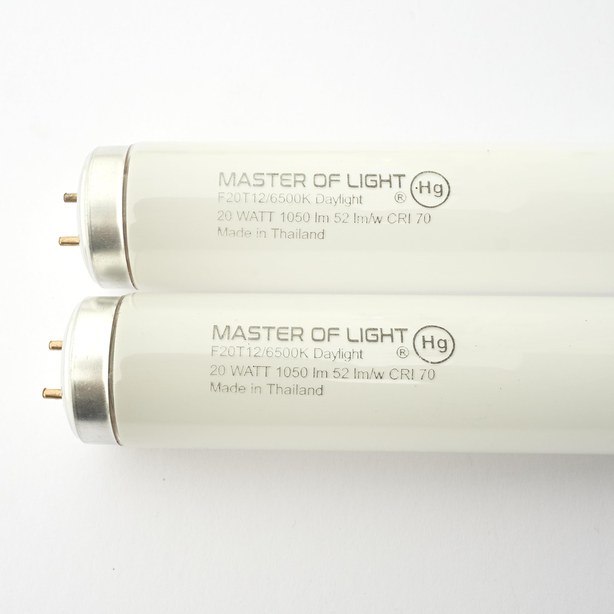 Master of Light F20T12 Daylight Fluorescent Tube Light Bulbs, 2-Pack ...