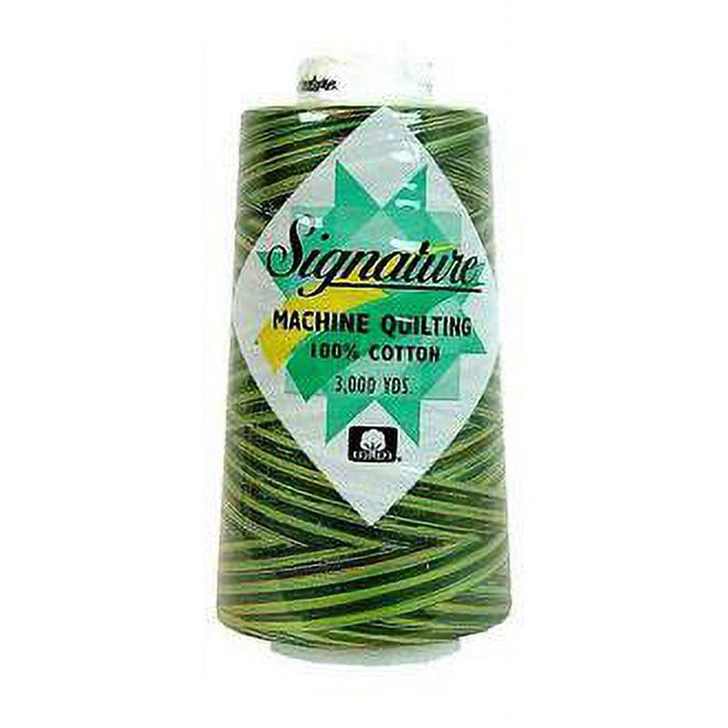 F251 Atlantis Signature Cotton Variegated Thread - Walmart.com