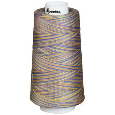 Signature Variegated Quilting Thread, 3000yds - Walmart.com
