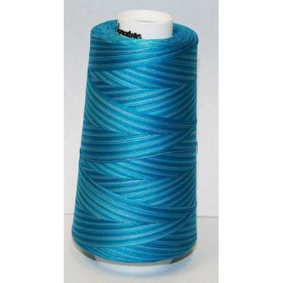 Signature Variegated Quilting Thread, 3000yds - Walmart.com