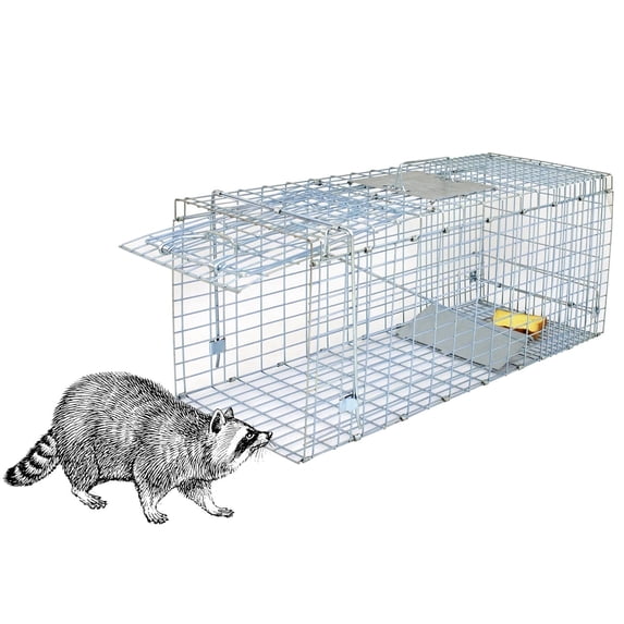 Segawe 32-in Humane Live Animal Cage Trap Folding Steel Catch and ...