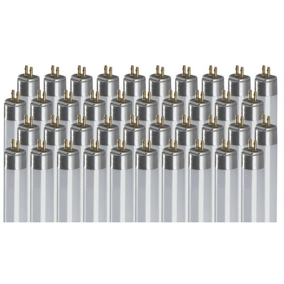 T5 6500K Light Bulbs