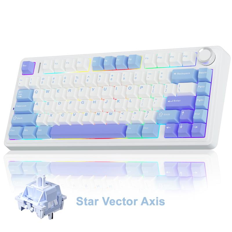 F75 75% Wireless Mechanical Gaming Keyboard with Washer Hot Swappable ...