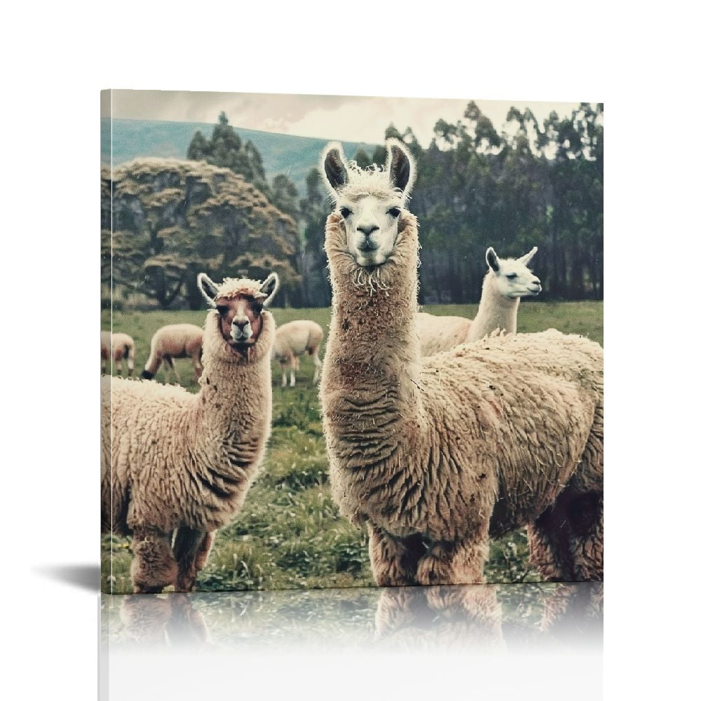 FACANNAP Poster Master Alpaca Poster - Alpacas on Grassland Print- Gift ...
