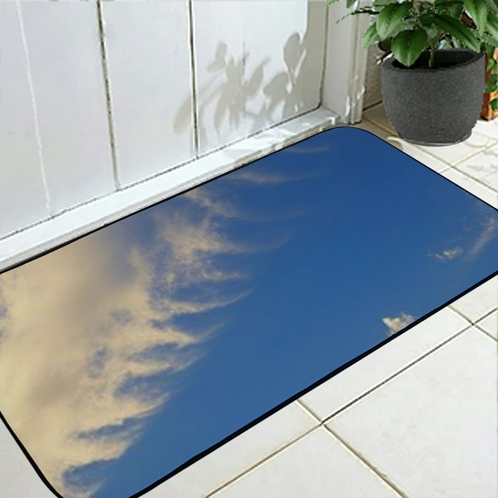 FACANNAP Surrealism Square Door Mat Indoor/Outdoor/Bathroom Mats for ...