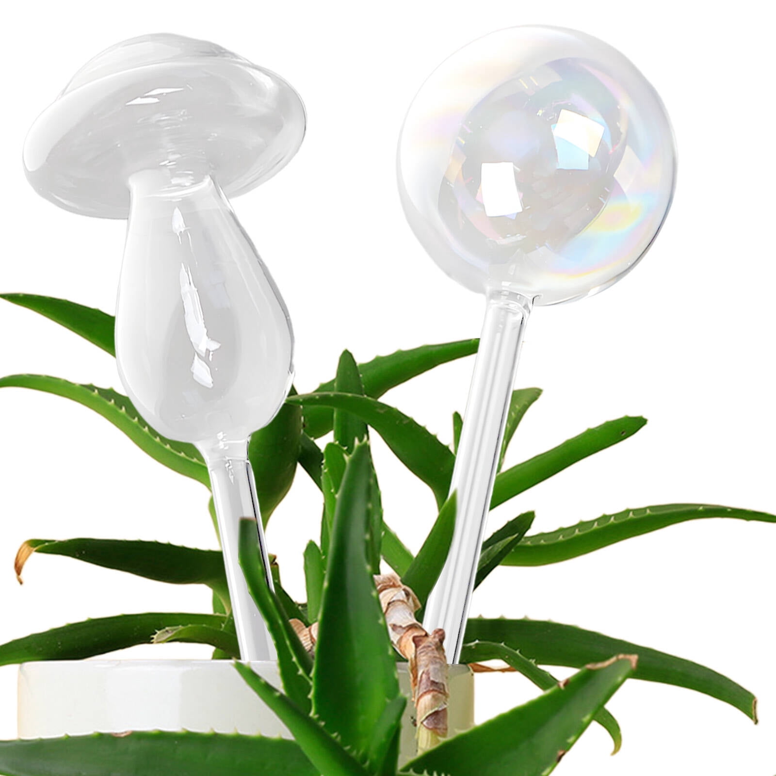FACEGA 2Pcs Plant Watering Globes,Eco-Friendly Glass Finish Self ...