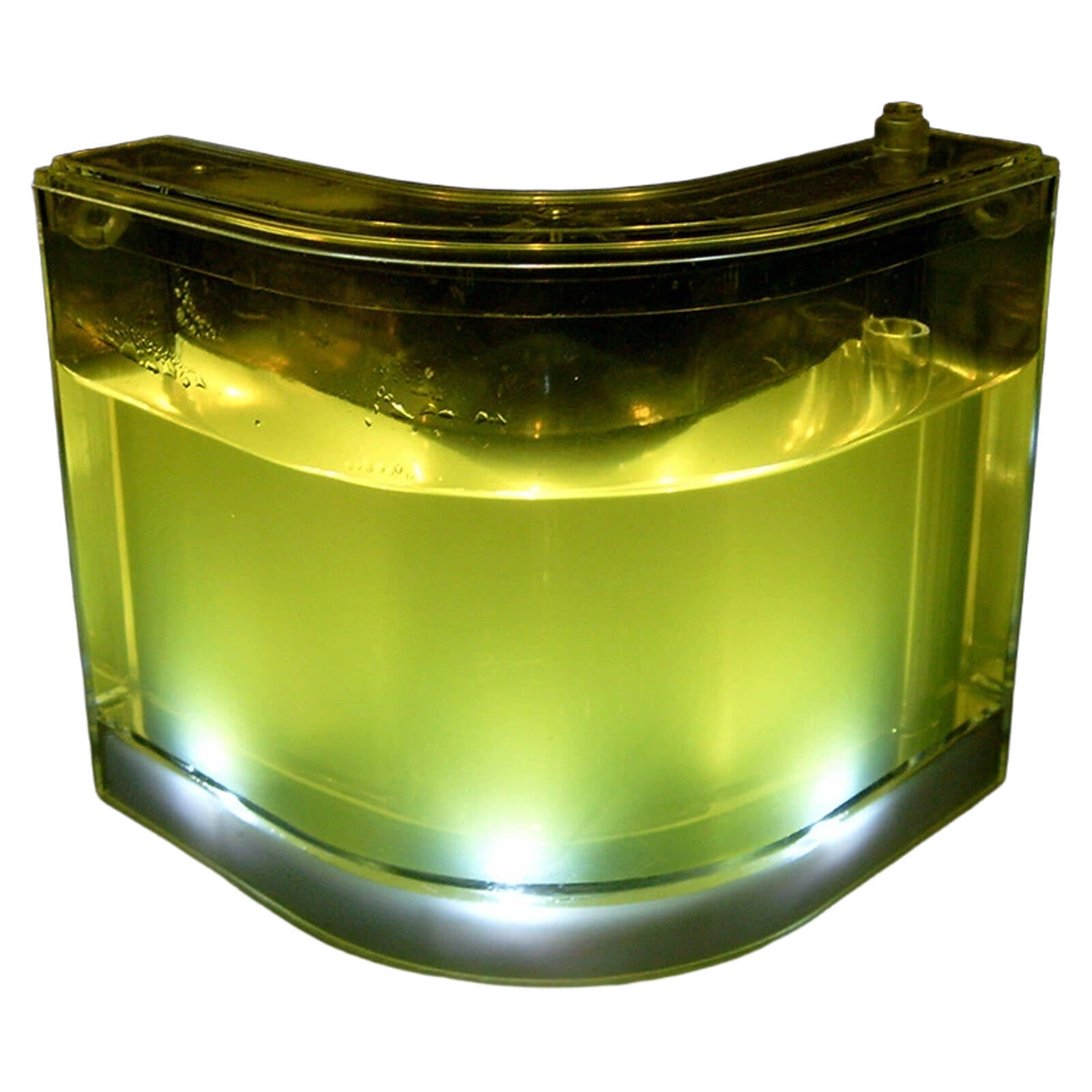 FACEGA Ant Farm,Educational Toy Live Ants,Ant Activity Nature ...