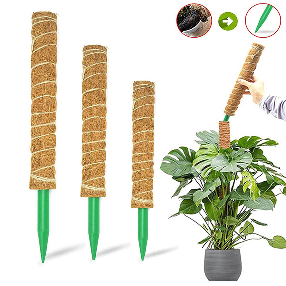 Visland Moss Pole Plant Stakes Supports for Potted Plants - Moss Stick ...