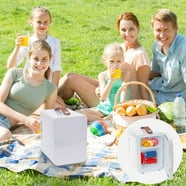 Coke Zero 6 Can Mini Fridge 4L Mini Electric Cooler Portable 12V Car ...