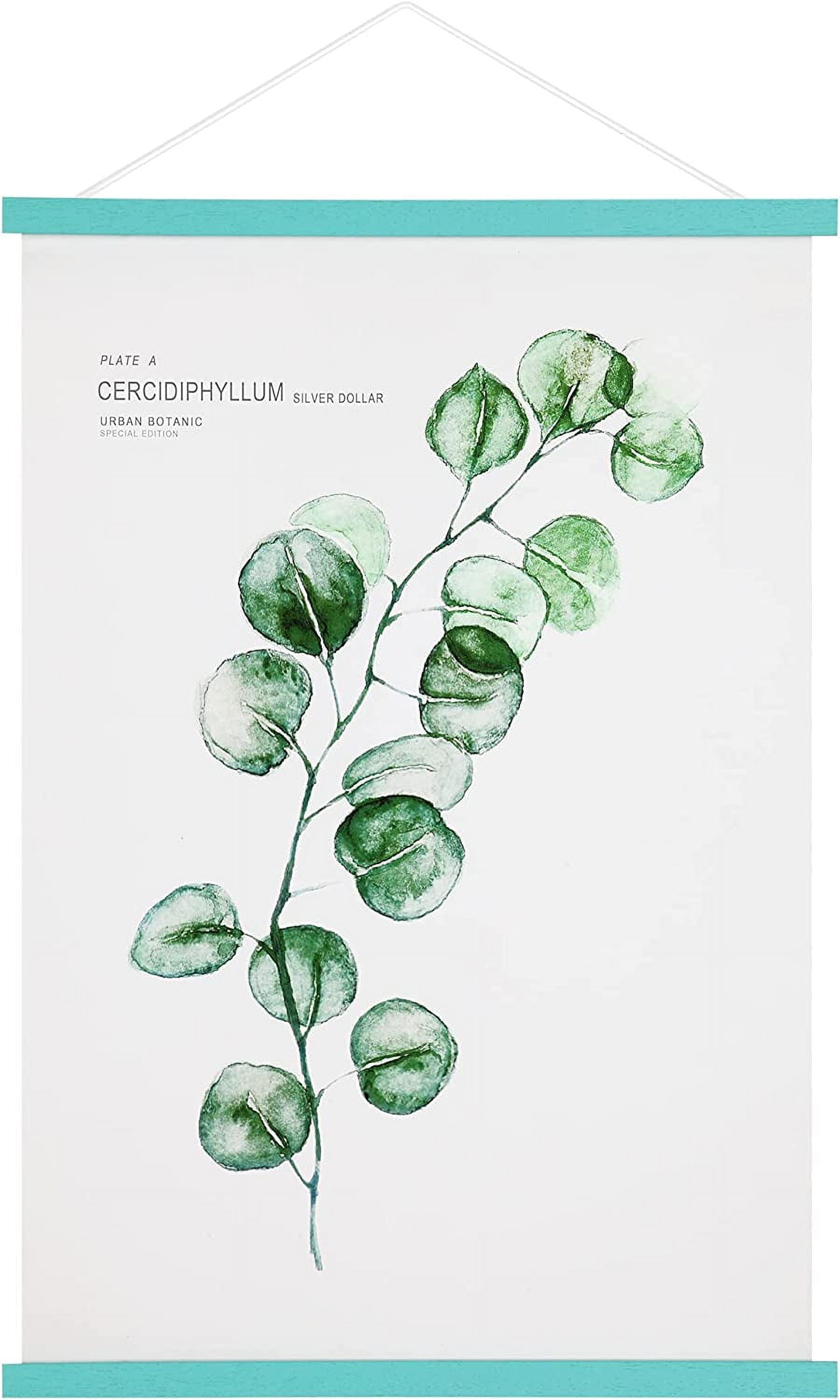 FALAMON Magnetic Poster Hanger Frame, 30x40 30x36 30x20 Teak Wood ...