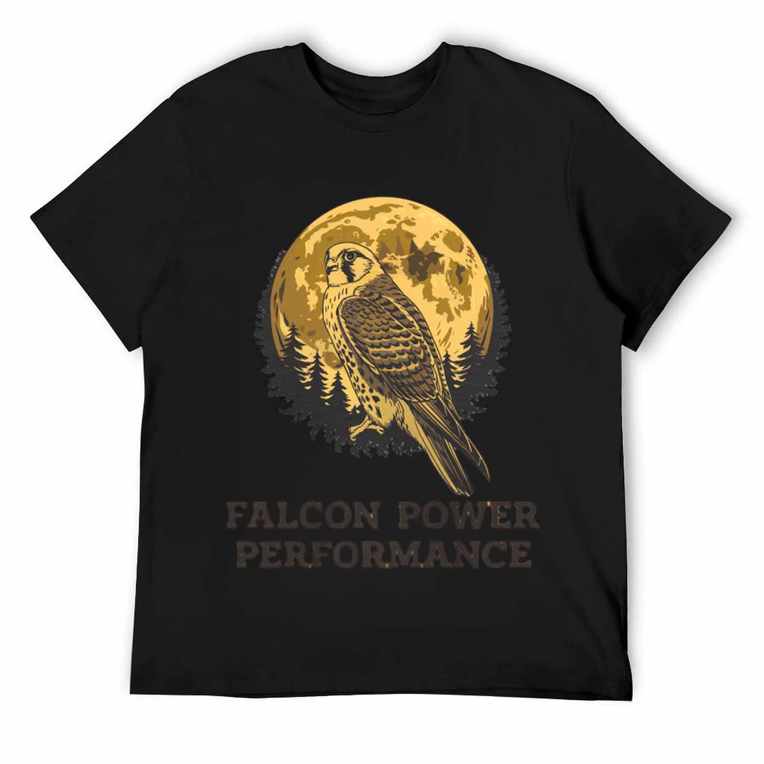 FALCON POWER PERFORMANCE Teaching Future Artists Retro Teacher Students ...