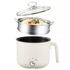 Small Electric Steamer