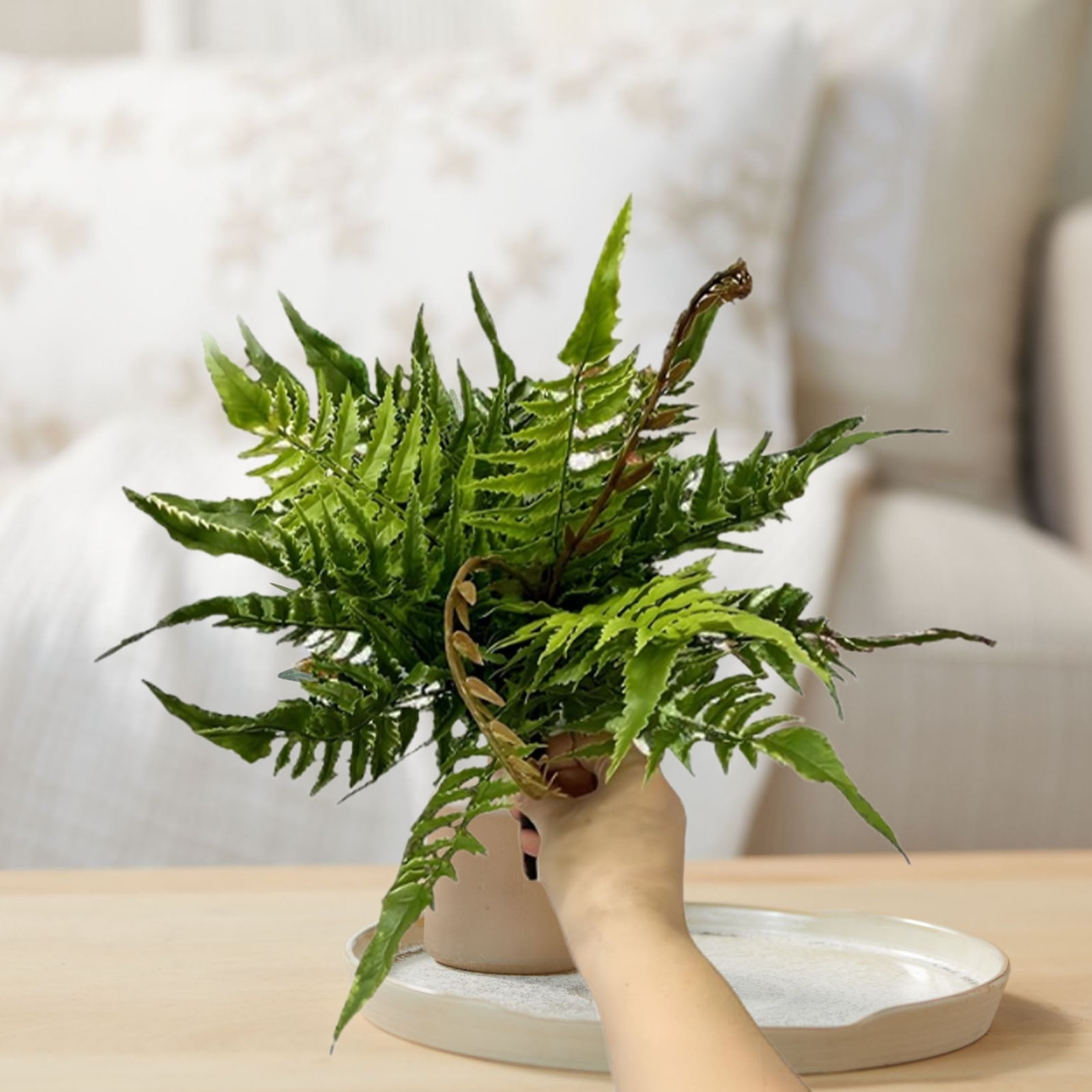 FAMTKT Artificial Plants Simulated Persian Grass Small Persian Leaves ...