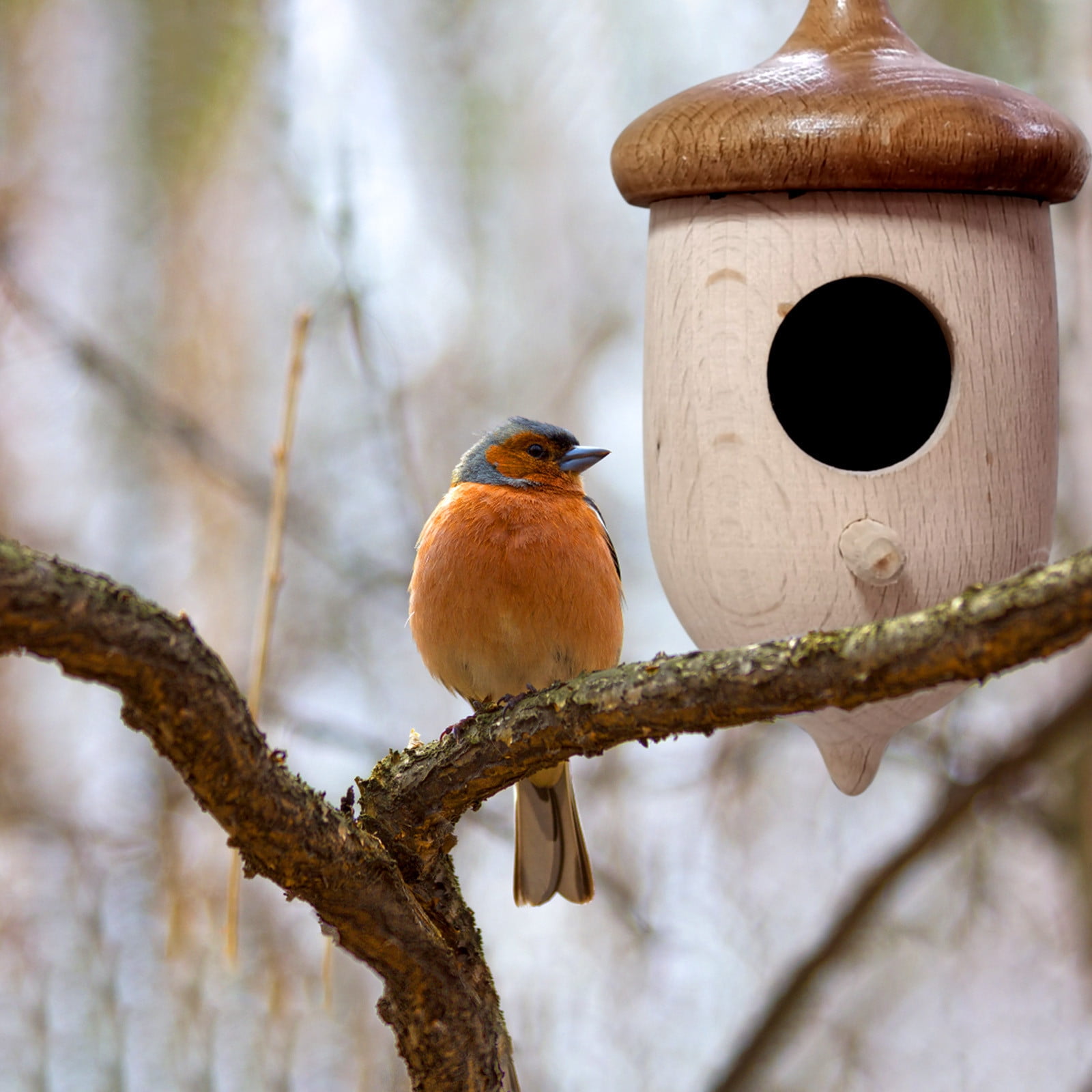 FAMTKT Bird Feeder Garden Decoration Bird House Hut Birdhouse Bird ...