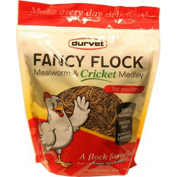 Flock Party Mealworms Chickens