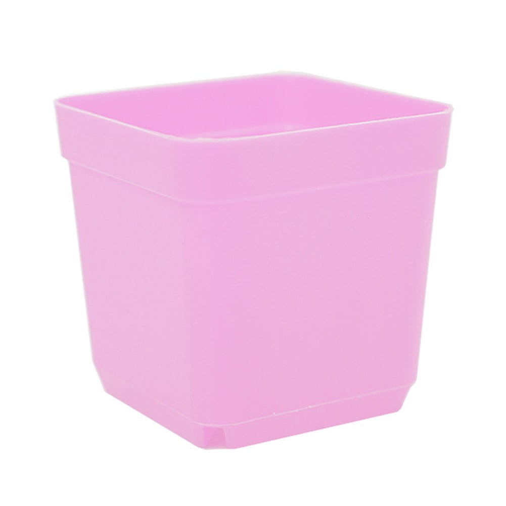 FANJIE 10Pcs 5.5cm Square Plastic Succulent Pots Plant Pots with Bottom ...