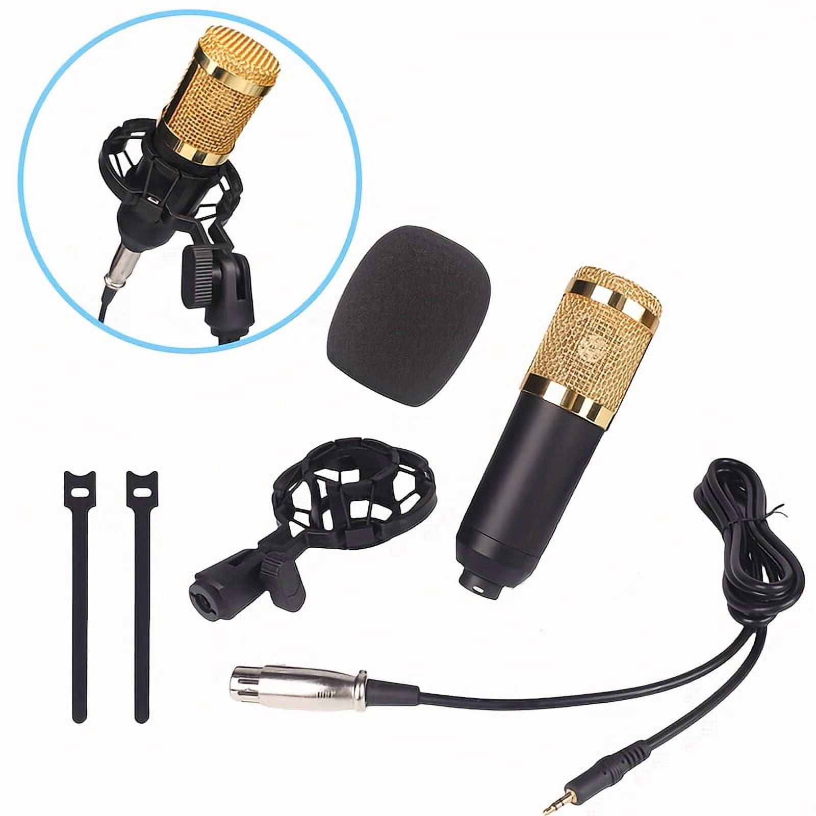 "FANRUINA BM-800 Mic Kit - Professional Studio Condenser Mic with Arm ...