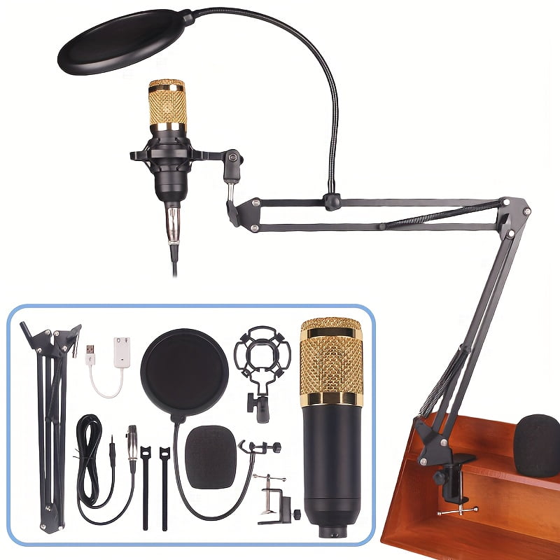 "FANRUINA BM-800 Mic Kit - Professional Studio Condenser Mic with Arm ...