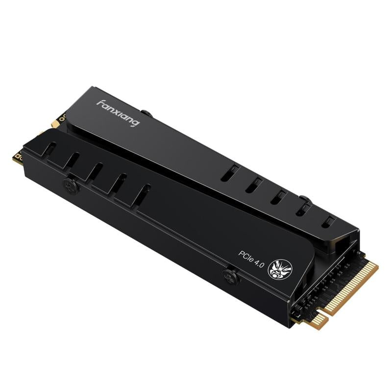 FANXIANG S770 1TB NVMe M.2 SSD for PS5 with Heatsink and DRAM, Up to ...