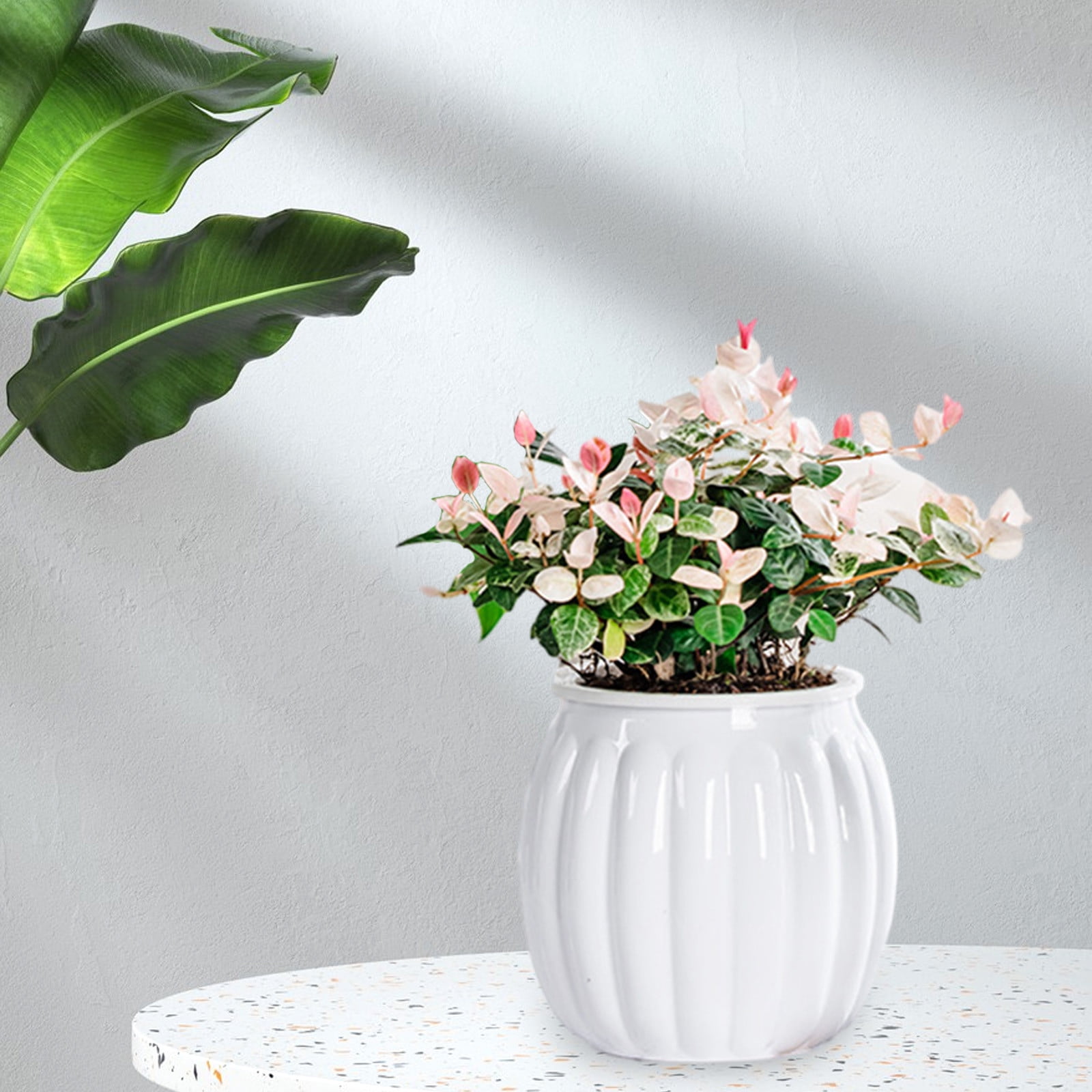 FASIAOU Self Watering Planter , African Violet Pots, Clear Plastic ...